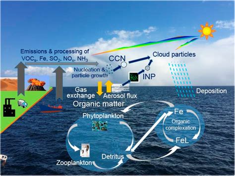 Schematic Representation Of Marine Aerosol Feedback On Biogeochemical Download Scientific