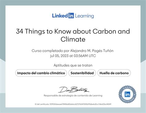Alejandro M Pagéstuñón On Linkedin Certificate Of Completion