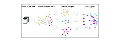 Flow Chart Of Network Decomposition Method Download Scientific Diagram
