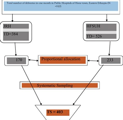 Schematic Presentation Of Sampling Procedure Among Mothers Who Download Scientific Diagram