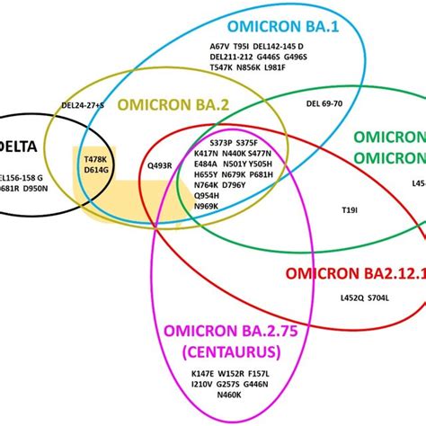 Phylogenetic Lineage Of The Omicron Variants Starting From Wild Type