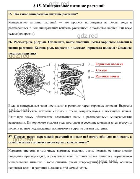 Страница 31 - ГДЗ по Биологии для 6 класса Рабочая тетрадь Пасечник ...