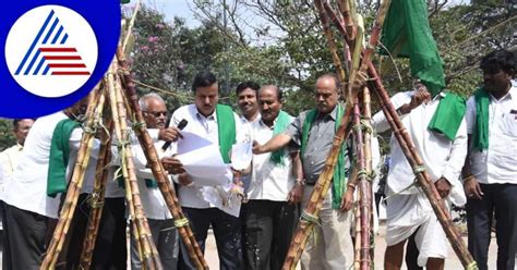 ಟನ್‌ಗೆ 50 ಹೆಚ್ಚಳ ಆದೇಶ ಸುಟ್ಟು ಕಬ್ಬು ರೈತರ ಭಾರೀ ಪ್ರತಿಭಟನೆ 50 Per Ton Hike Order Burnt Sugarcane