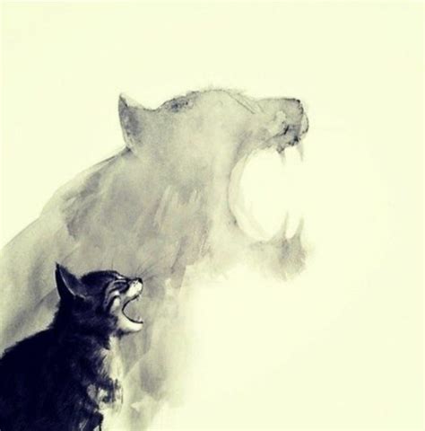 В одной картинке глубокий смысл Современный человек и его жизнь образ мыслей все в одной