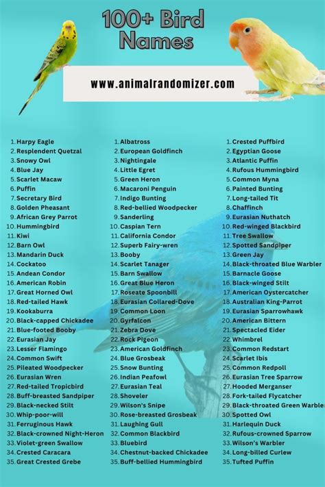 Cute Budgie Names Girl