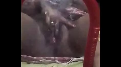 Ankita Porn Videos And Free Xxx Movies Iporntv