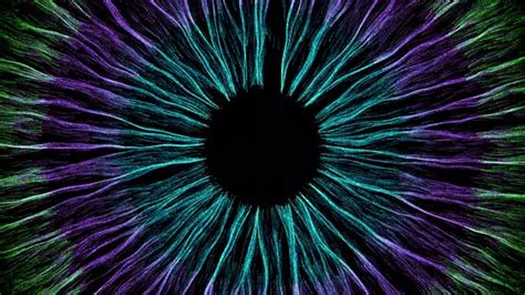 Global Connection Network Ai Line Circuit Technology Data Transfer Abstract 5g Blue Background