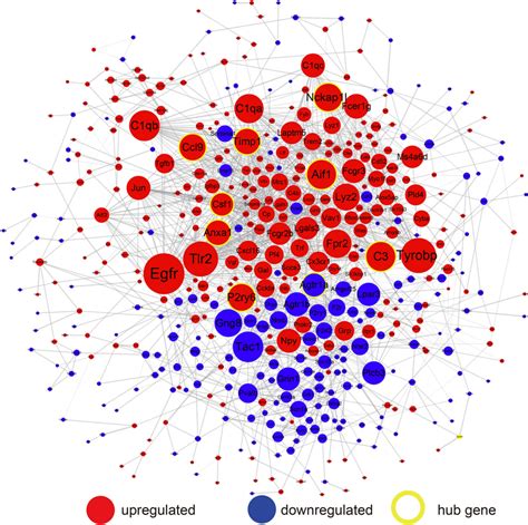 The Proteinprotein Interaction Ppi Network The Red Nodes Mean
