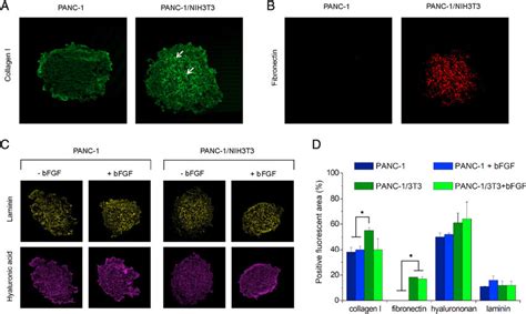 Expression Of Ecm Components In Pancreatic Cancer Spheroids A Download Scientific Diagram