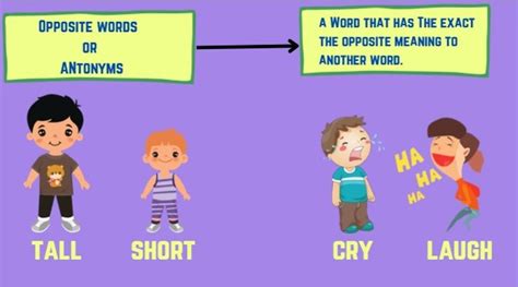 Understanding And Using Antonyms Effectively