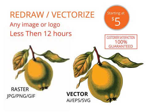 Vector Tracing On Behance