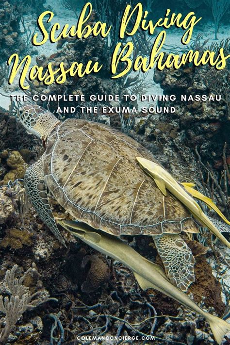 The Complete Guide To Scuba Diving Nassau Bahamas And The Exuma Sound