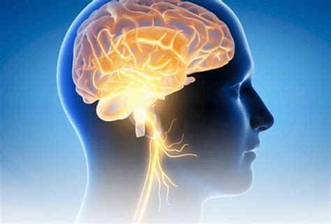Accessing The Healing Power Of The Vagus Nerve To Boost Autoimmunity