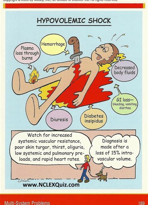 Nursing Pathophysiology Memory Notecards Hypovolemic Shock Nclex Quiz
