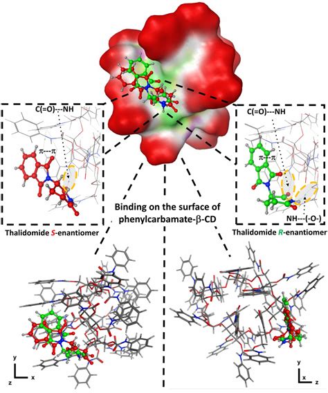 Interactions Between The Best Binding Modes Of Thalidomide Enantiomers Download Scientific