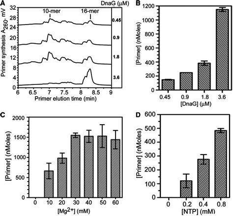 Characterization Of The B Subtilis Dnag Primase Activity A