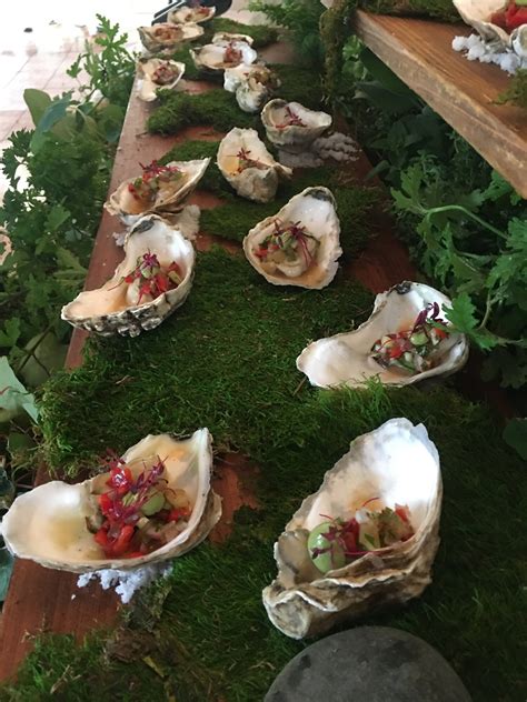 Oyster Shells For Sex Or Ear Ringing Or Chickens — Jan Buhrman