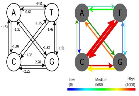 The Paths Of The Acs Model For Dna Sequence Problem And Their Pheromone Download Scientific