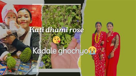 Hamro Ghrko Aagadi Kya Dhami Fool Fuleko😂 Youtube