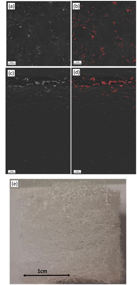 cross sectional image of reconstructed image in top view raw a and