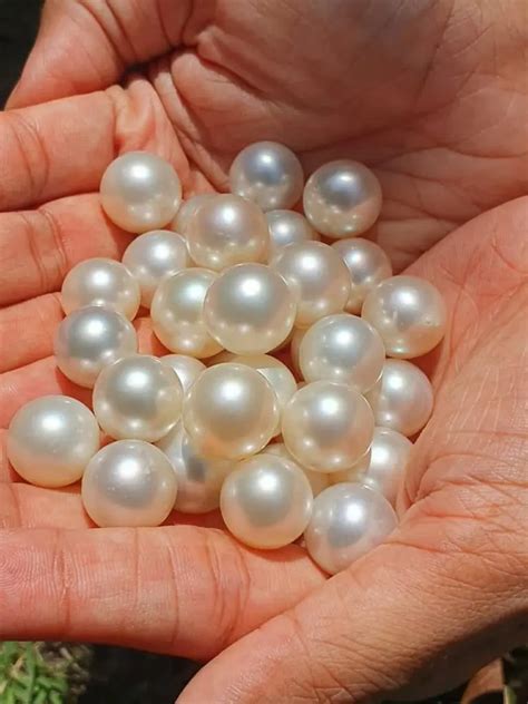 Bali S Lustrous Gems A Deep Dive Into The Fascinating World Of Pearl