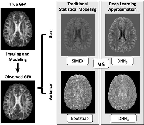 Figure 1 From A Deep Learning Approach To Estimation Of Subject Level