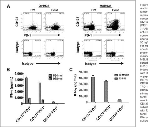 Figure 1 From Cd137 Accurately Identifies And Enriches For Naturally Occurring Tumor Reactive T
