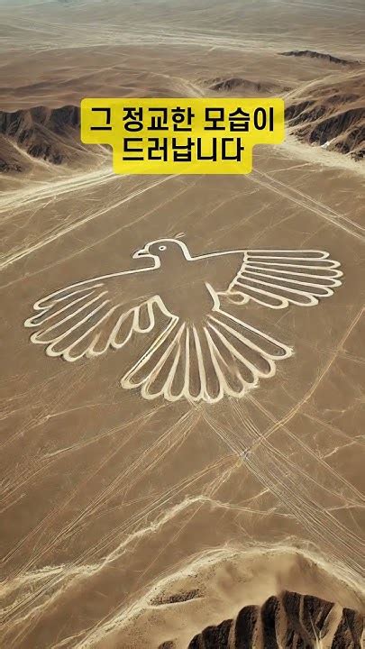 페루 나스카사막의 미스테리 페루 나스카사막 나스카라인 미스테리 미스터리 지식 정보 History 한국 한국어