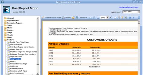 Fastreport Mono 20204