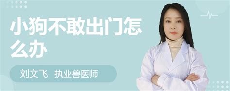 小狗不敢出门怎么办 蘑菇宠医