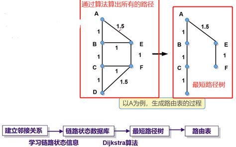 单区域ospf动态路由协议详情和实验（ospf3 1）（ospf路由协议概述和工作过程，ospf基本概念详解和数据包类型与临街关系，单区域配置