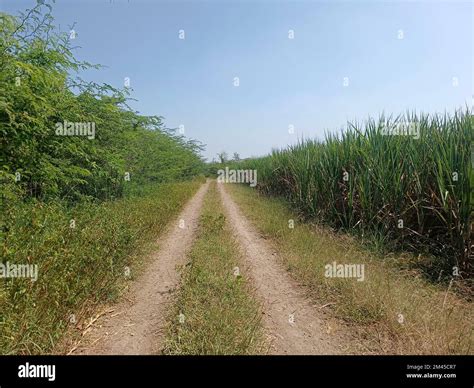 View Of Indian Village Road Mud Road Connected To The Countryside