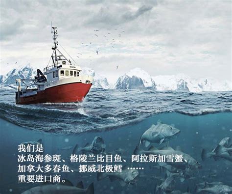 海洋兄弟官方网站