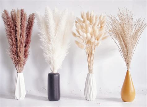 100 Pcs Dried Flowers Pampas Grass Bouquet Boho Table