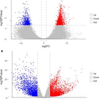 Volcano Plot Of Detectable DEG Profiles In BC A Presentation Of The Download Scientific