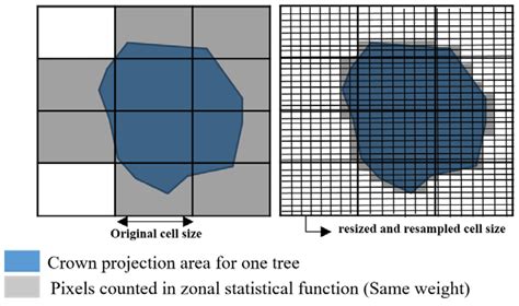Forests Free Full Text Estimation And Extrapolation Of Tree