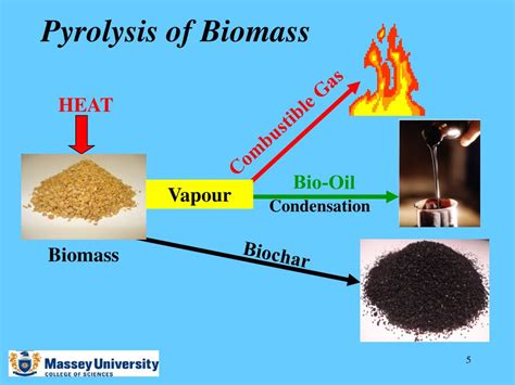 PPT Pyrolysis Of Biomass To Produce Bio Oil Biochar And Combustible Gas PowerPoint