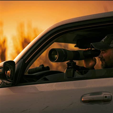 Best Tips For Summer Scouting Moon Guide