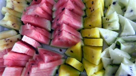 Pěstování Sazenic Roubované Sazenice