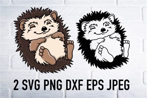 Hedgehog Svg Png Hedgehog Clipart Graphic By Anny White · Creative Fabrica