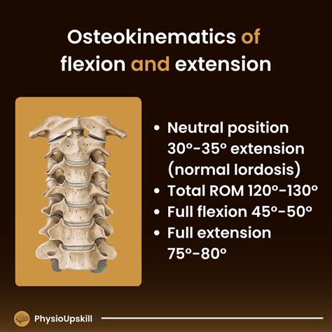 Episode29 Kinesiology Of Cervical Spine5sagittal Plane