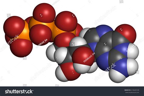 579 챗gtp 이미지 스톡 사진 및 벡터 Shutterstock