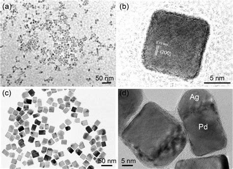 Figure 1 From Highly Sensitive Mems Sensor Using Bimetallic Pdag Nanoparticles As Catalyst For