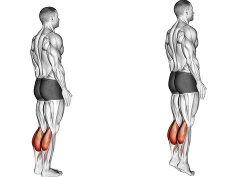Bodyweight Standing Calf Raise Liftosaur