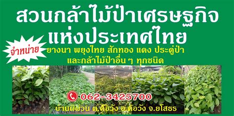 ความสุขที่เธอตา สวนพฤกษศาสตร์ขอนแก่น องค์การสวนพฤกษศาสตร์ Facebook