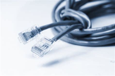 Network And Patch Cables Stock Photo Image Of Digital