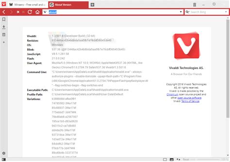 Vivaldi 1 3 501 6 Features Customizable Interface Themes