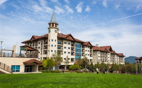 하이원 리조트 밸리콘도 사진 가격 위치소개 야놀자