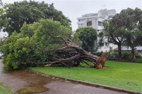 Storms Tornadoes And Cyclones Wreak Havoc In The United States And
