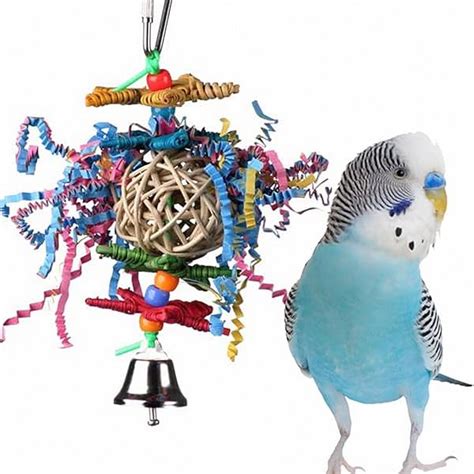 Tweeter Totter Parrots And Company